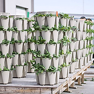 Greenstalk Patented Large 5 Tier Vertical Garden Planter with Patented Internal Watering System Great for Growing a Variety of Strawberries, Vegetables, Herbs, & Flowers (Stunning Stone)