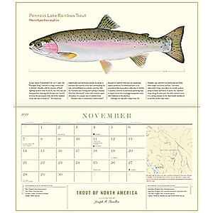 Trout of North America Wall Calendar 2021