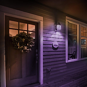 Feit Electric A19 (A19/TP/LED) Purple Filament LED 25W, A19 2.38" D x 4.44" H