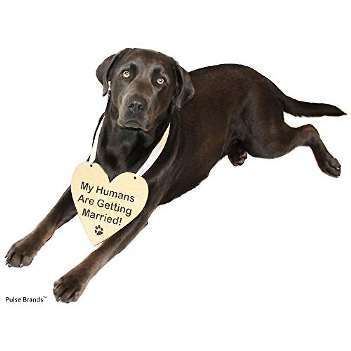 Pulse Brands Engagement Photo Prop Sign - My Humans are Getting Married - Engagement Gifts - Bride to Be - Engaged - Engagement Gifts for Couples
