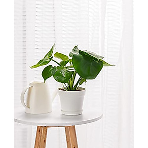 HOMENOTE Pots for Plants, 15 Pack 6 inch Plastic Planters with Multiple Drainage Holes and Trays - Plant Pots for All Home Garden Flowers Succulents (White)