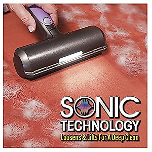 SONIC TECHNOLOGY Fur Daddy