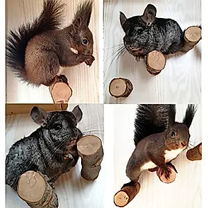 QBLEEV Hamster Chew Toys for Teeth, Wood Chew Sticks Stands Perches for Squirrels Rabbits, Cage Supplies Platform Stands for Birds Parrot Guinea Pigs Chinchilla 3- Pack