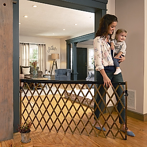 Evenflo Expansion Walk-Thru Room Divider Baby Gate (Farmhouse Collection)