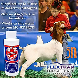 Ring Out - Control and Help Ringworm for Cats, Dogs, Sheep, Goats, Cattle, Horses, all Pets and Livestock makes 32 oz. of Spray