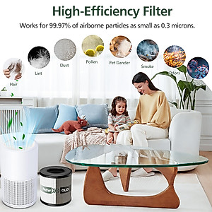 2 Pack PU-P05/AC201B True HEPA Replacement Filter Compatible with FULMINARE PU-P05 Air Purifiers and Purivortex AC201B Air Purifiers, H13 True HEPA Air Filter for Home Pets Dander Dust Smoke Pollen