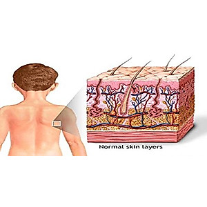 Grisi HypoAllergenic Clean Neutral Soap Bar, No Chemical, Color, Aroma, 3 Count, 10.5 Ounce