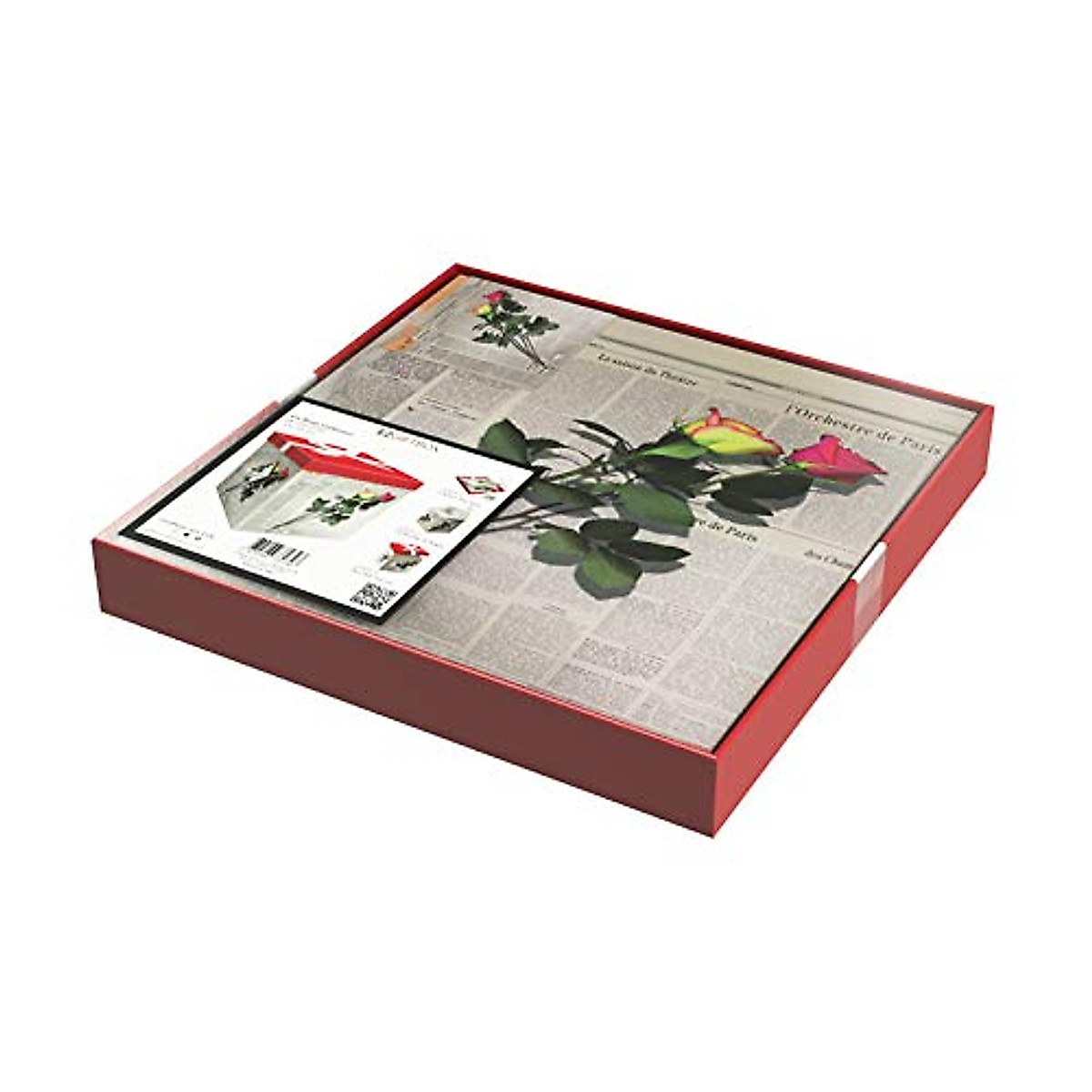Gift Box 10"X10"X10" - Les Roses Collection - Easy to Assemble & Reusable - No Glue Required - Ribbon, Tissue Paper, and Gift Tag Included - EZ Gift Box by Endless Art US