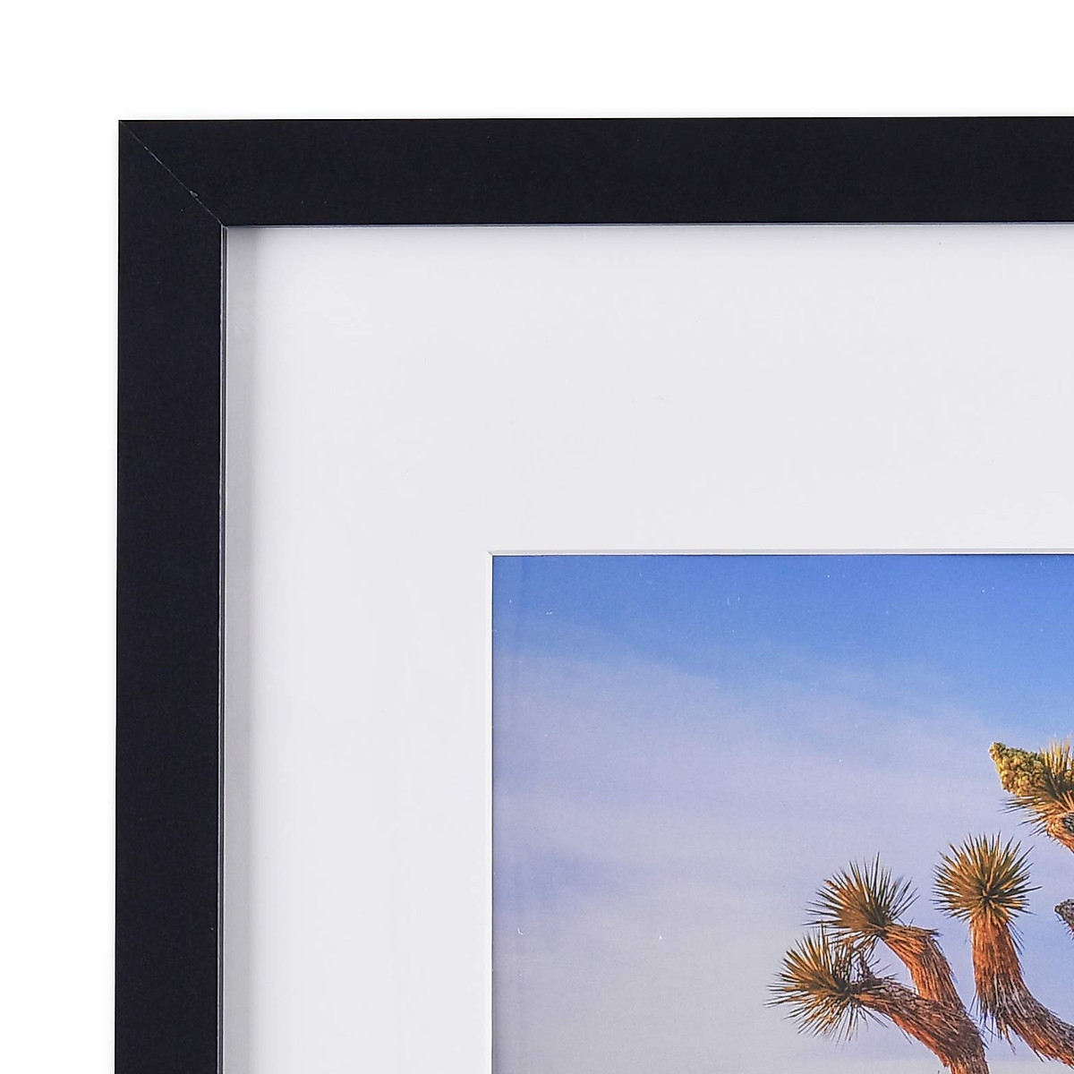 A PLUS MAX Poster Frames 20x24 Picture Frame with mat for 16x20 Picture with Polished Plexiglass Horizontal and Vertical Formats with Included Hanging Hardware-Black