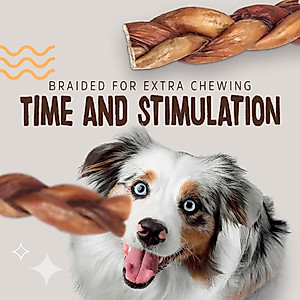 Dogfy Braided Power Bully Sticks Dog Chews (6”, 10-Pack), 2-in-1 Power Chews: Premium Beef Cheek Wrapped in Beef Pizzle, Braided Together for a Very Long Lasting Chew, Great for Medium Dogs