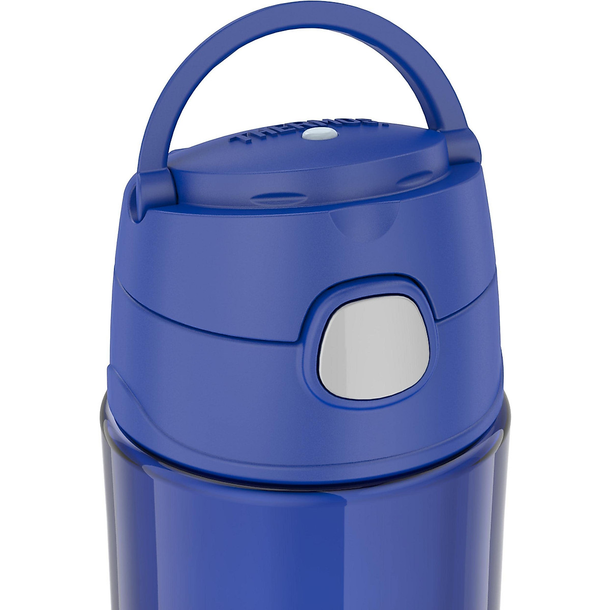 THERMOS FUNTAINER 16 Ounce Plastic Hydration Bottle with Spout, Blueberry