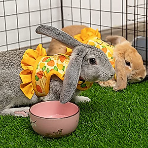 Rabbit Harness and Leash for Walking Escape Proof - Cute Carrot Pattern Mesh Breathable Bunny Vest Harness Outdoor Camping Hiking Training - Also Suit for Ferret Kitten Puppy Small Animals