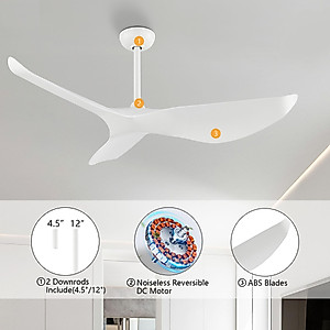 LEDLUX 52" Ceiling Fan no Light, 6 Speed Remote Control, Noiseless Reversible DC Motor, Modern 3 ABS Blades Ceiling Fan with 4.5"/12" Downrods for Bedroom/Living Room/Kitchen White