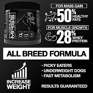 MVP K9 Formula Mass Weight Gainer for Dogs - Helps Promote Healthy Weight Gain, Size and Muscle in Dogs - Great for Skinny, Underweight, Picky Eaters. All Breed Formula, Made in USA (45 Servings)