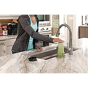 Delta Faucet Glass Rinser for Kitchen Sinks, Kitchen Sink Accessories, Bar Glass Rinser, SpotShield Stainless GR150-SP
