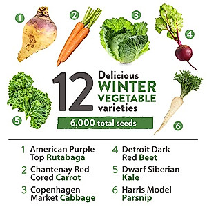 12 Winter Vegetable Seeds - Heirloom, Non-GMO Fall & Winter Vegetable Seeds for Planting Home Garden: Bean, Beet, Broccoli, Cabbage, Carrot, Cauliflower, Kale, Parsnip, Squash, Chard & More
