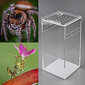 NANEEZOO Magnetic Acrylic Case, 2.9x2.9x6 Inch Nano Arboreal Tarantula Enclosure Reptile Habitat Terrarium Breeding Box for Spider Scorpion Sling Isopods Lizards Invertebrates Insect Mantis