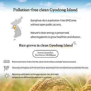 Rice Pure 2-Step Set [Toner & Cream]