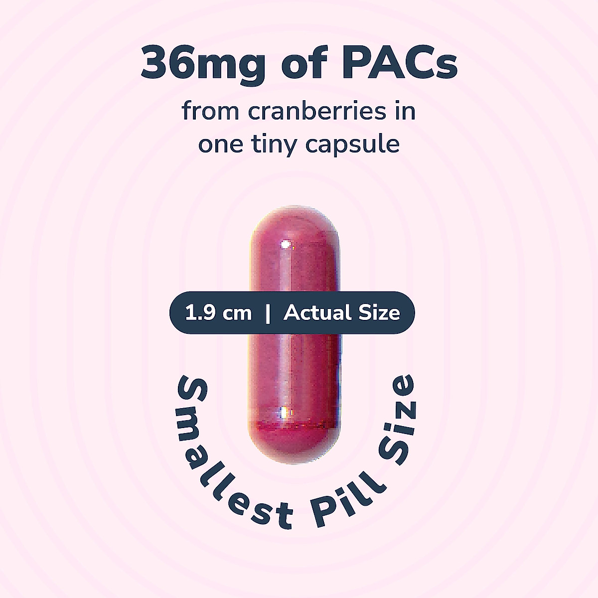 Utiva Cranberry PACs – Clinically Studied Ingredients 36mg PACs Extract - UTI Prevention for Women - Urinary Tract Health – Cranberry Supplement Pills for Bladder Health, 30 Vegi Capsules