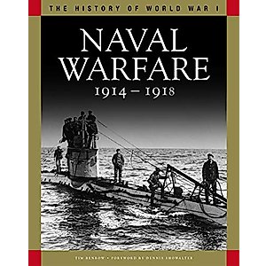 Naval Warfare 1914-1918 (The History of World War I)