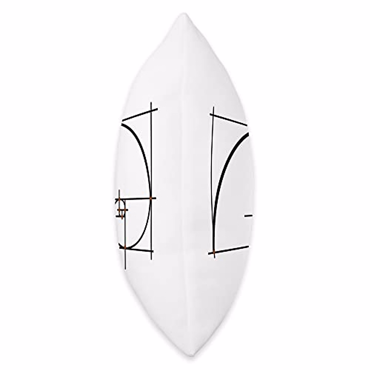 Golden Ratio Fibonacci Math Lover Designs & Gifts Ratio Golden Spiral Geometry Math Throw Pillow, 16x16, Multicolor