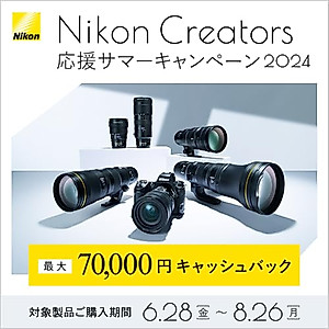 Nikon NIKKOR Z 28-75mm f/2.8 Lens Black