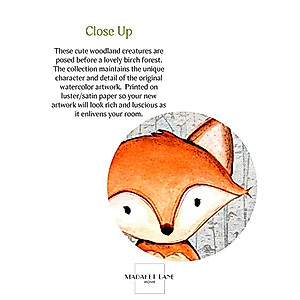 Woodland Nursery Decor for Boys - Animal Pictures Wall Art - Baby Room Prints - Bear Deer Fox Raccoon Rabbit Squirrel - SET OF 6-8x10 - UNFRAMED