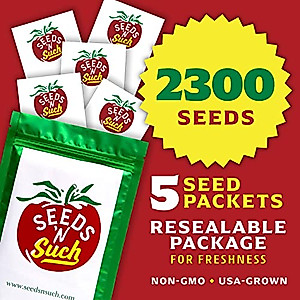 Seeds N Such 2300 Hand Selected Comfort Food Vegetable Garden Seeds | 5 Individually Packaged Seeds - Red Beets, Carrots, Broccoli, Cauliflower & Black Seeded Simpson Lettuce | Untreated & Non-GMO