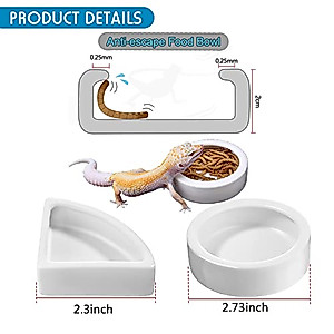 Woyrise 3Pcs Reptile Feeding Tongs, Long Stainless Steel Tweezers, Rubber Tipped Tweezers, Bug Scooper Cricket Clamp, 2Pcs Reptile Food Bowl Water Dish for Lizard,Gecko,Spider,Snakes