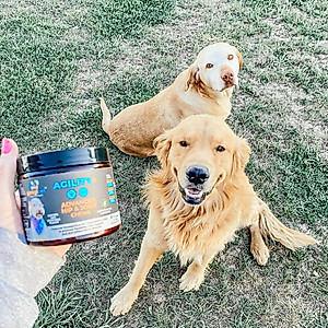 Googipet Hip and Joint Supplement for Dogs - Glucosamine for Dogs – Soft Chews w/Green Lipped Mussels for Dogs, Turmeric for Dog Arthritis & Mobility for All Ages & Breeds