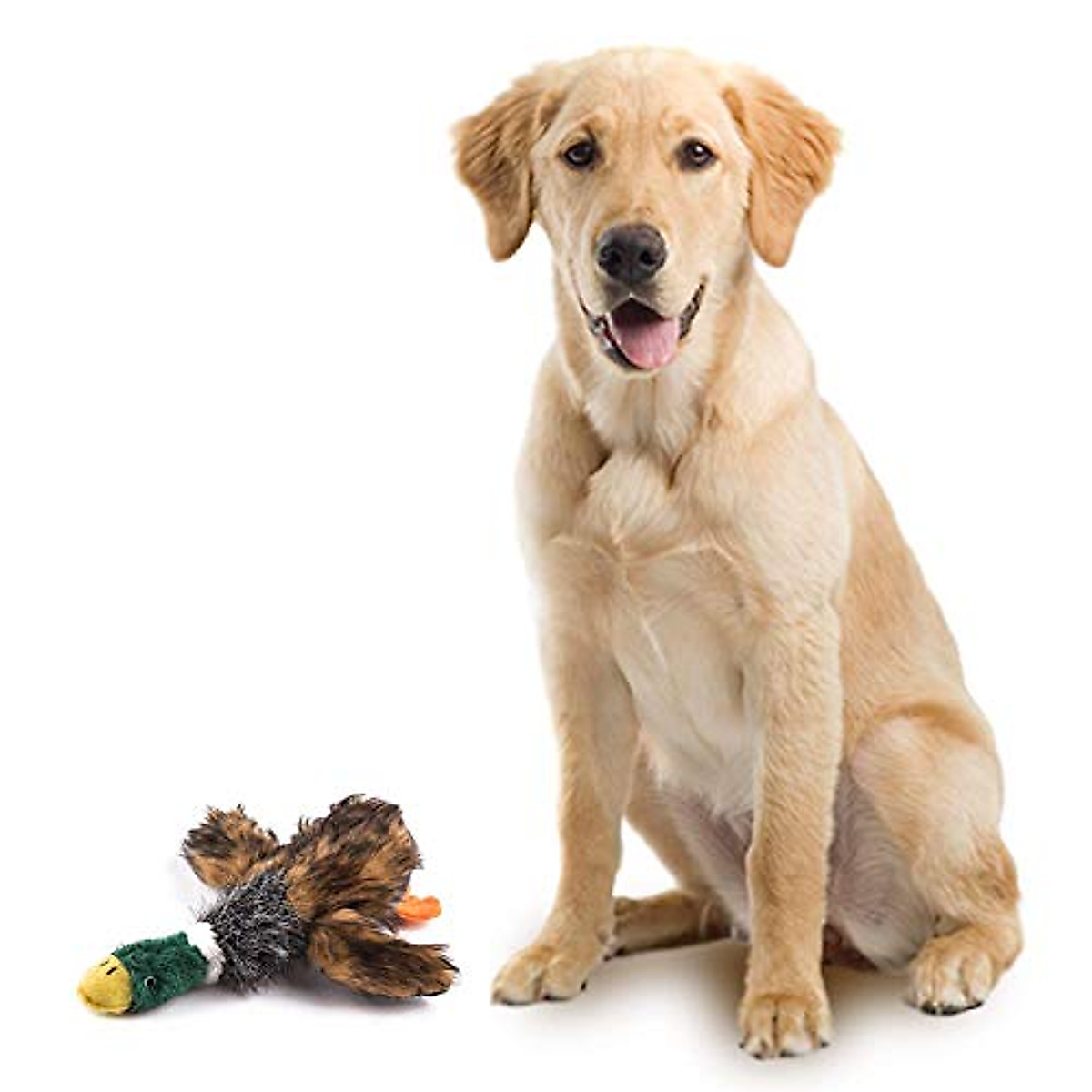wangstar Pet Mallard Duck Dog Toy, Squeaky Dog Toy, Plush Puppy Dog Chew Toy for Small Medium Dogs, 9 Inch Wild Duck