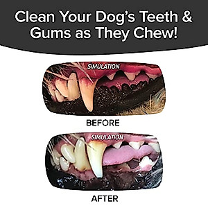 BulbHead BrushBone Toothbrush, Dogs Chewing, Plaque and Tartar Remover for Teeth, Works 3 Ways to Clean While They Play, Invented by a Dentist & His Hygienist Wife, 1 Count (Pack of 1), Brush Bone