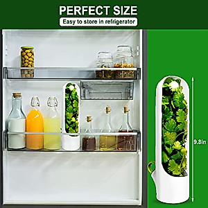 plplaaoo Herb saver pod, Herb Storage Container clear windowed,good watertight integrity,Fits in all standard refrigerator doors for Cilantro Mint Parsley Asparagus