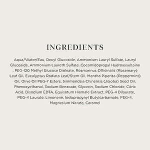 The Art of Shaving Beard Wash - Leaves Beard Hair Clean & Soft, Removes Dirt, Oil, & Impurities, Peppermint, 4 Fl Oz