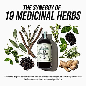 Flora Biome - Live Probiotic, Prebiotic & Postbiotic – Organic, Fermented Live-Culture – 10 Probiotic Strains, 19 Fermented Herbs, 50 Billion CFU - Complete Gut Health & Microbiome Optimizer (16 oz)