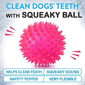 Pacific Pups Products Balls for Dogs - 6 Balls Dog Ball Pack - Small Dog Balls & Dog Balls for Medium Dogs - Dog Tennis Balls, Squeaky Balls for Dogs & Dog Treat Toys