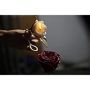 Zestler Bundles Candle Holder Set with 2 Rose Candles in White and red Plus a Stainless Steel Wax Removal Blade