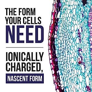 Nascent Iodine Supplement 400 Servings, Glass Bottle, Vegan, 1800 mcg - 600 mcg per Drop - Pure, Clear Color - Supports Thyroid Health, Energy, Immunity & Metabolism (2 oz.)