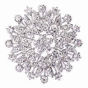 EVER FAITH Women's Austrian Crystal Elegant Flower Leaf Bridal Corsage Brooch Pin Clear Silver-Tone