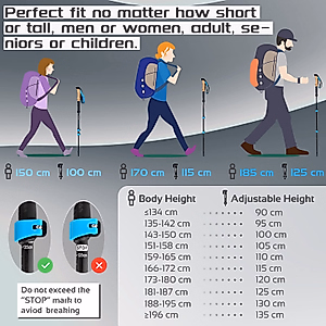 TheFitLife Carbon Fiber Trekking Poles – Collapsible and Telescopic Walking Sticks with Natural Cork Handle and Extended EVA Grips, Lightweight Nordic Hiking Poles for Backpacking Camping (Blue)
