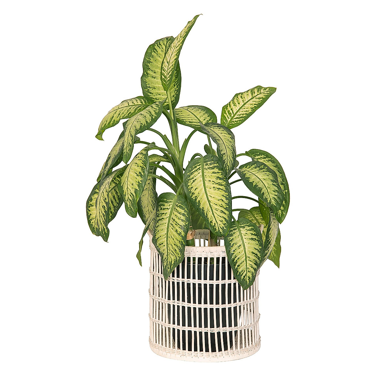 KOUBOO Rattan Open Weave Storage Basket, Large, White-Wash