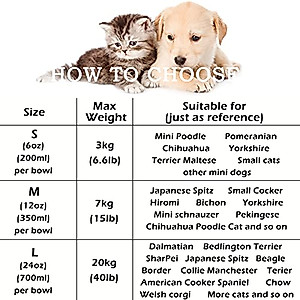 Dog Bowls, Cat Food and Water Bowls Stainless Steel, Double Pet Feeder Bowls with No Spill Non-Skid Silicone Mat, Dog Dish for Small Dogs Cats Puppies, Set of 2 Bowls (S-6oz, Grey)