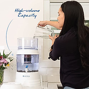Santevia Gravity Water System Filter | at Home Water Filter That Makes Water Alkaline and Adds Minerals | Chlorine and Fluoride Filter (Countertop Model)