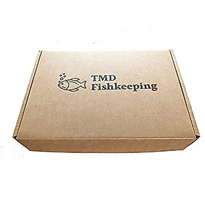 40+ Giant Duckweed (Spirodela polyrhiza) Live Floating Plants for Aquarium or Pond by TMDFishKeeping