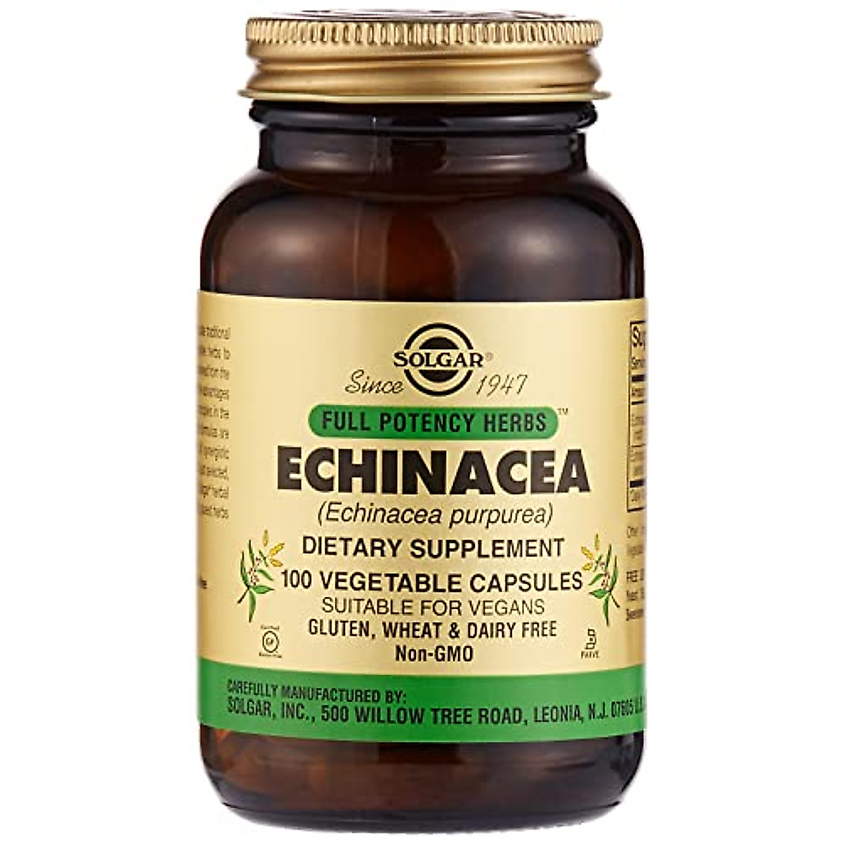 Solgar Echinacea, 100 Vegetable Capsules - Immune Support - Full Potency (FP) - Non-GMO, Gluten Free, Dairy Free, Kosher - 100 Servings