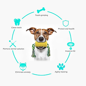 PTFBOY Dog Chew Toys for Aggressive Chewers Small Medium Breed, Dog Squeaky and Rope Toys,Tug of War Large Dog Chew Toothbrush Toys Dog Teeth Cleaning Indestructible Durable Tough Toys 2 Packs