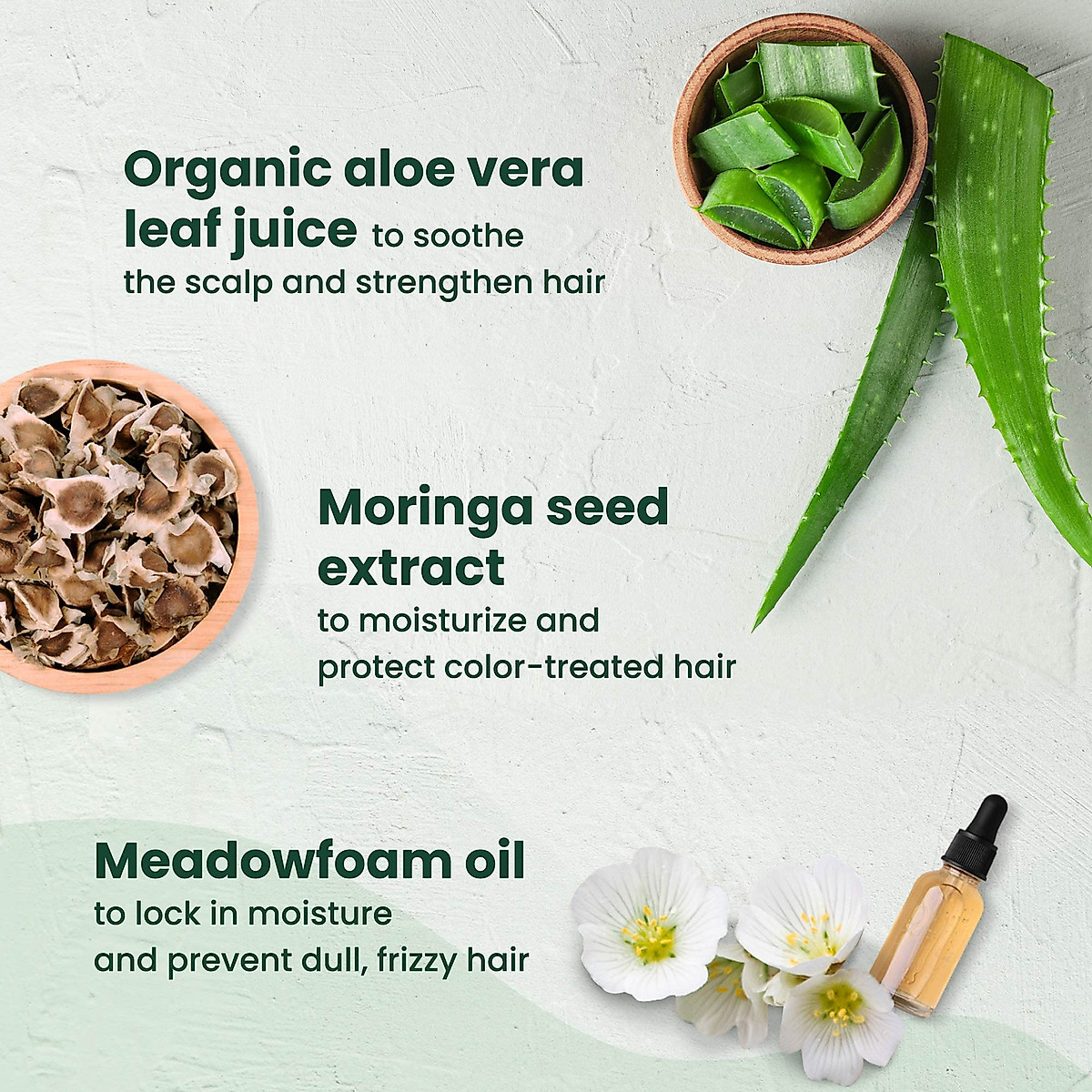 Herbatint Normalizing Shampoo for Color-Treated, Normal Hair - Aloe Vera to Rebalance, Strengthen, & Add Shine - No Parabens, Sulfates, Gluten - 8.79 fl oz.