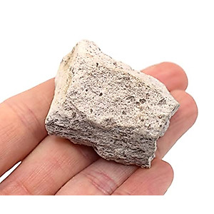 Raw Rhyolite, Igneous Rock Specimen - Approx. 1" - Geologist Selected & Hand Processed - Great for Science Classrooms - Eisco Labs
