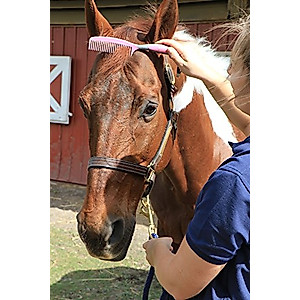 Oster 827570 Equine Care Series Mane & Tail Comb Pink