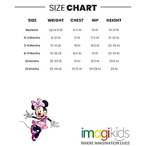 Disney Minnie Mouse Newborn Baby Girls Layette Set: Bodysuit Pant Hat Bib Grey/Pink 0-3 Months